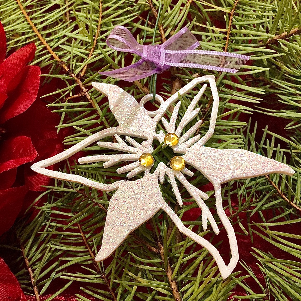 Membership Program | Trillium Dance Studios